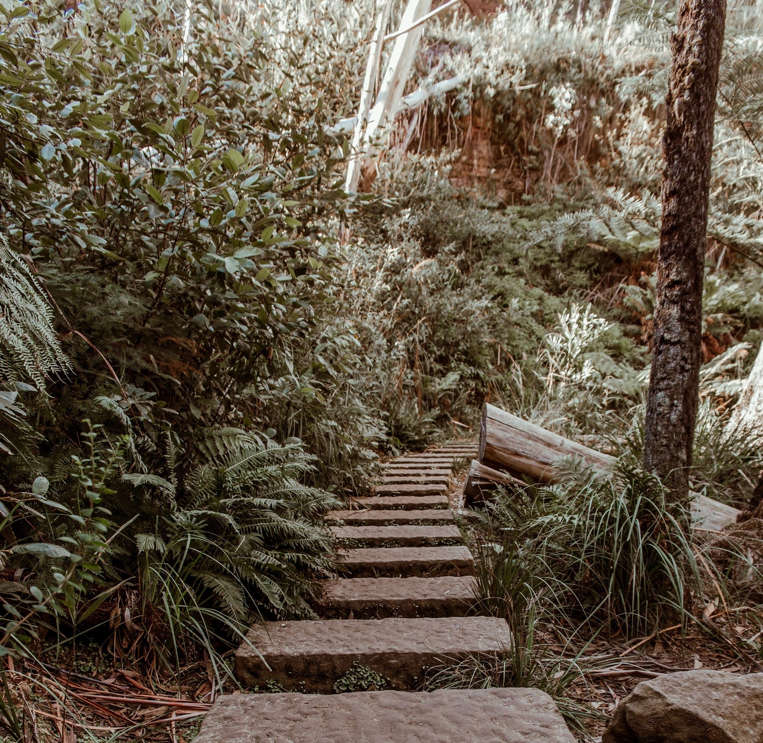 Fend | 14-Hour, DEET-Free Insect Repellent – Fend Repellent