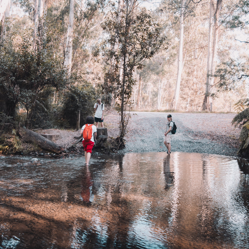 Fend | 14-Hour, DEET-Free Insect Repellent – Fend Repellent